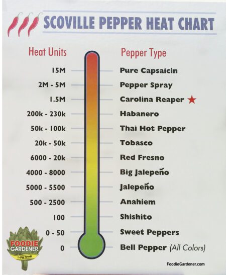 Scoville Heat Rating Chart For Hot Peppers | The Foodie Gardener™